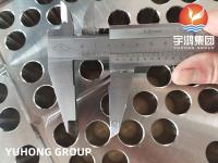 China ASTM A182/ ASME SA182  F51, F53, F60, F55 Duplex or Super Duplex Tubesheet for sale