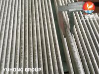China Round Stainless Steel Seamless Pipe ASTM A213 TP316L NDT Available for sale