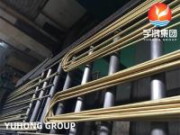 China ASTM B111 UNS C68700 Aluminum Brass Tube U bend tube Heat Exchanger Tube for sale
