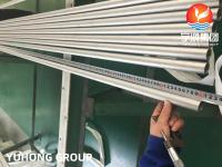 China ASTM A213 TP310H Stainless Seamless Tubing For Heat Exchanger NDT Available for sale