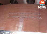 China ASTM A182 F51 F53 F55 Super Duplex Steel Forged Weld Neck RF Flange For Water Treatment for sale