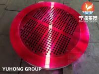 China F304L STAINLESS STEEL TUBESHEET FOR SHELL AND TUBE HEAT EXCHANGER for sale