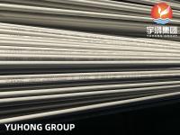 China ASTM A269 TP304L  Stainless Steel Seamless Tube for sale