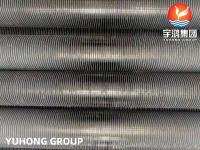 China ASTM A249 TP304 Stainless Steel Welded Tube with AL Fin HFW Solid Finned Tube for sale