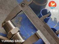China ASTM A182 F53 HEX NIPPLE TBE 1/2'' 3000# NPT B16.11 SUPER DUPLEX STEEL FORGED FITTINGS for sale