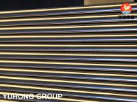 China S31603 STAINLESS STEEL SEAMLESS TUBE A269 TP316L BRIGHT ANNEALED SURFACE for sale