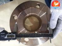 China COPPER NICKEL WELDING NECK FLANGE B151 C70600 / DIN 2.0872 RF TYPE for sale
