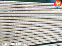 China ASTM A213 TP316L STAINLESS STEEL SEAMLESS TUBE 100% ET HT UT for sale
