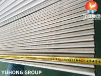 China ASTM A213 TP316L S31603 SUS316L Stainless Steel Seamless Heat Exchanger Tube for sale