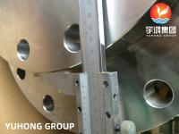 China ASTM A182 F317/317L 1.4449/1.4438 Stainless Steel Blind Flange for sale