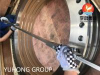 China SOFF ANSI/AWWA C207 CLASS D Flange Steel Flanges ASME ASTM BS 175-150 PSI,86PSI for sale
