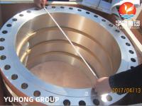 China A182 F51/F53/F55 Forged Duplex Steel Material WNRF Flange B16.5 for sale