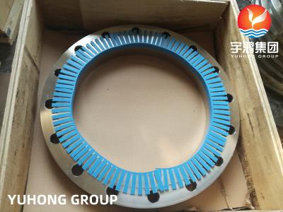 China ASTM A182 F304 F304L Forged Steel Flanges F.F. / R.F. And R.T. Face Type for sale