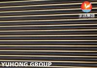 China ASTM A269 TP304 Bright Annealed Stainless Steel Seamless Tube for sale
