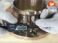 China ASTM B151 C70600 COPPER NICKEL ALLOY STEEL WNRF FLANGE B16.5 for sale