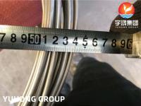 China Austenitic Stainless Steel ASTM A269 TP304 / TP304L / TP310S / TP316L Bright Annealed Coil Tube For Petro/Chemical for sale