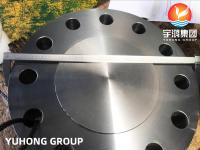 China A182 F22 Low Alloy Cr-Mo Steel Blind Flange RF Face B16.5, In High-Pressure / High-Temperature Applications for sale