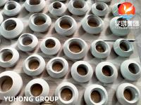 China B366 Hastelloy C22 / UNS N06022 Weldolet, Nickel Alloy Forged Fitting B16.11 used in Desalination Plants for sale