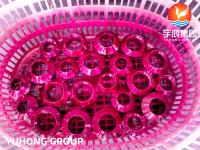 China B366 Hastelloy C22 / UNS N06022 Weldolet, Nickel Alloy Forged Fitting B16.11 used in Desalination Plants for sale