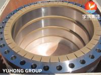 China Water Desalination ASTM A182 F51(UNS S31803) Duplex Steel Weld Neck RF Flange B16.47 for sale