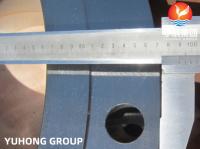 China Water Desalination ASTM A182 F51(UNS S31803) Duplex Steel Weld Neck RF Flange B16.47 for sale