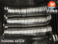 China En1092-1/01 TYPE B PN16 Stainless Steel Forged Flange F304/304L for sale