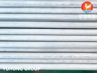 China U Bending ASTM A213 TP304L Stainless Steel Boiler Tube for sale