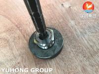 China Stainless Steel Fitting Hex Plug,Bushing,F304,F316L, CLS 3000 ,ASME B16.11 for sale
