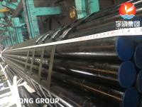 China ASTM A213/ ASME SA213 T11 Alloy Steel Seamless Tube For Superheater for sale