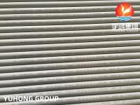 China ASTM A269 TP304 TP304L Stainless Steel Seamless Pipes For Boiler for sale