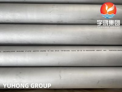 China ASTM A312 TP310S 1.4845  Stainless Steel Seamless Pipe For Petrochemical Application for sale