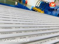 China ASME SA213 TP316L Corrosion Resistant Stainless Steel Seamless Tube for Boiler and Heat Exchanger with Customized Size for sale