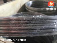 China ASTM A269 TP316L, 1.4404 Seamless Stainless Steel Coil Tube, Bright Annealed Tube for sale