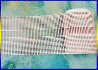 China Coated Mesh Conveyor Belt Nomex Kevlar Plastic Material Edges Biding Customization for sale
