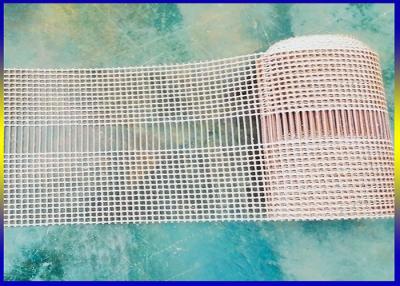 China Coated Mesh Conveyor Belt Nomex Kevlar Plastic Material Edges Biding Customization for sale