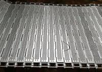China 304 Stainless Steel Chain Plate Conveyor Mesh Belt Frozen Food Line Equipment for sale