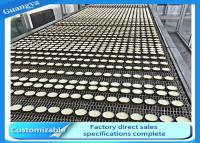 China 25.40mm Pitch JIS SUS304 Eye Link Conveyor Belt For Food Freezing for sale