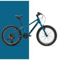 China SAVA 40 Inch Kids Carbon Fiber Bike Blue V Brake 8 Speed Children Bicycle for sale