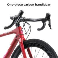 China SAVA R11 Gravel Road Bike 700c 22 Speed Carbon Frame Hydraulic Disc Brake for sale