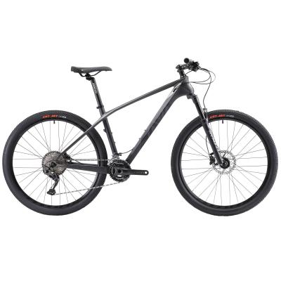 China SAVADECK DECK5.0 Carbon Hardtail Mountain Bike Shimano M5100 22 Speed 27.5 29 Inch MTB for sale