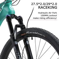 China SAVADECK DECK5.0 Carbon Hardtail Mountain Bike 22 Speed Shimano M5100 27.5 Tires for sale
