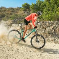 China SAVADECK DECK5.0 Carbon Hardtail Mountain Bike 22 Speed Shimano M5100 27.5 Tires for sale