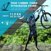 China SAVA DECK 6.1 Carbon Mountain Bike 11.8kg 27.5/29 Inch SHIMANO DEORE M6100 12 Speed for sale