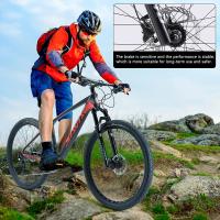 China SAVA Carbon Fiber Mountain Bike 29 Inch 30 Speed SHIMANO DEORE M6000 for sale