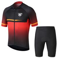 China Men's Short Sleeve Cycling Jersey 100% Polyester Breathable Quick Dry for Road Mountain Bike for sale
