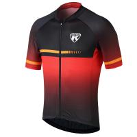 China Men's Short Sleeve Cycling Jersey 100% Polyester Breathable Quick Dry for Road Mountain Bike for sale