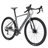 China Carbon Fiber Gravel Bike 22 Speed Shimano 105 R7000 Disc Brake 700C Wheels Grey for sale