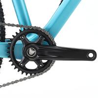 China Carbon Fiber Frame 29er Mountain Bike Magnesium Alloy Fork Material for sale