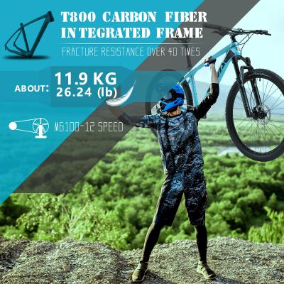 China SAVA DECK6.1 Carbon Mountain Bike 27.5 inch 12 Speed Hydraulic Disc Brake Off Road for sale