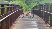 China SAVA DECK2.0 Carbon Mountain Bike 29 inch 27 Speed SHIMANO ALTUS M2000 Hydraulic Disc Brake for sale